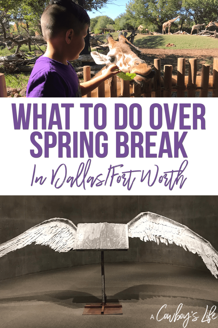 Unique Kid-Friendly Spring Break Trips For Families in United States