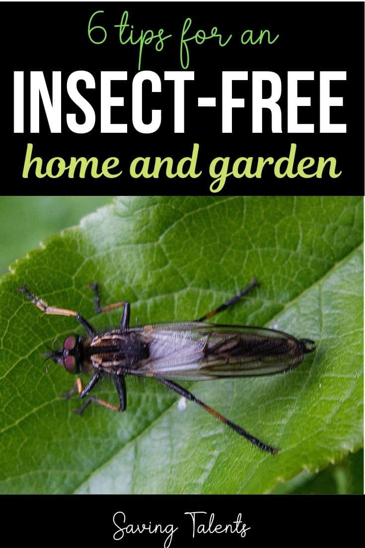 6 Solutions to Make Your Garden and Lawn Free from Insects