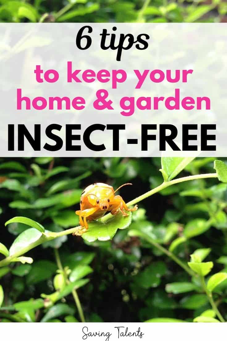 6 Solutions to Make Your Garden and Lawn Free from Insects