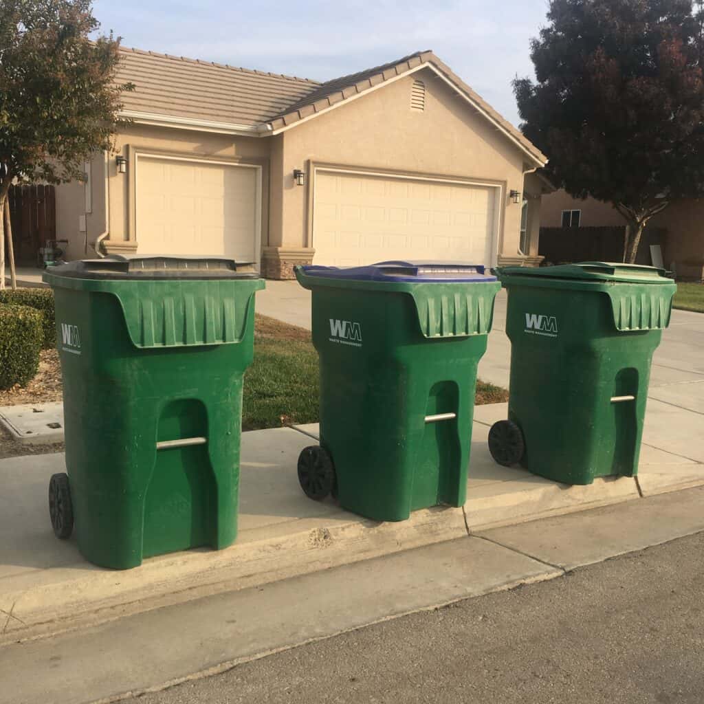 6 Solutions to Make Your Garden and Lawn Free from Insects