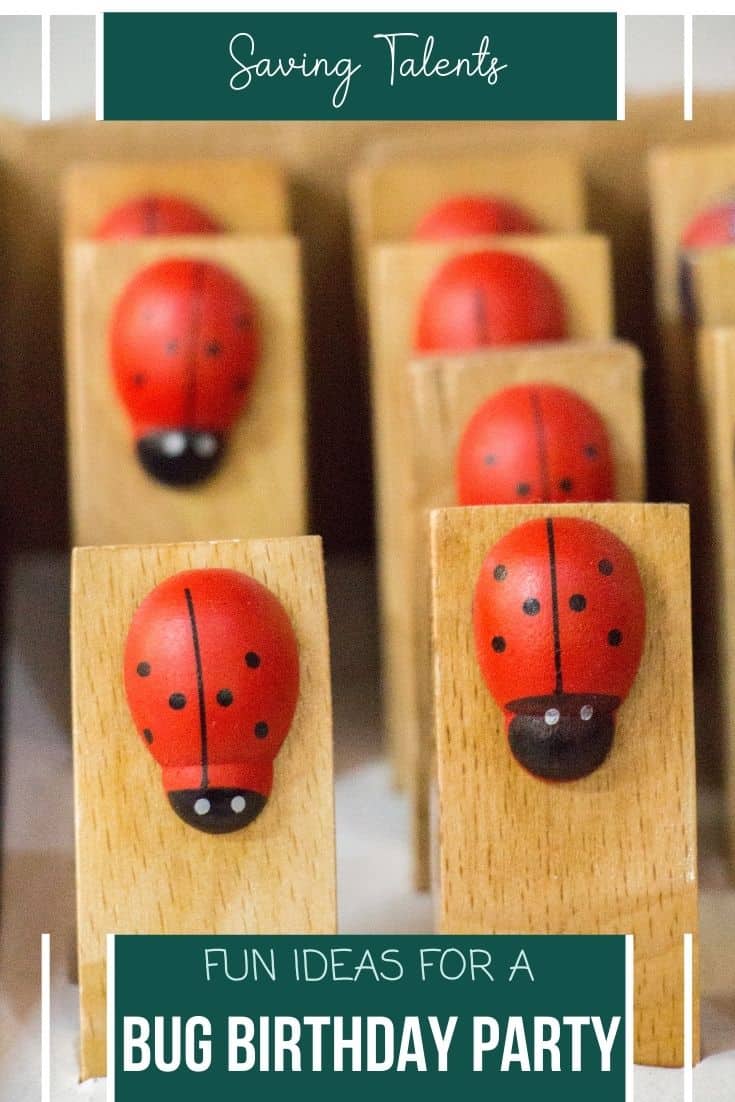 How to Throw a Bug Birthday Party for a Kid Who Loves Insects