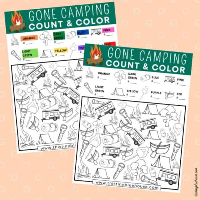 35 Exciting Summer Camping Activities for Kids You Won't Want to Miss ...