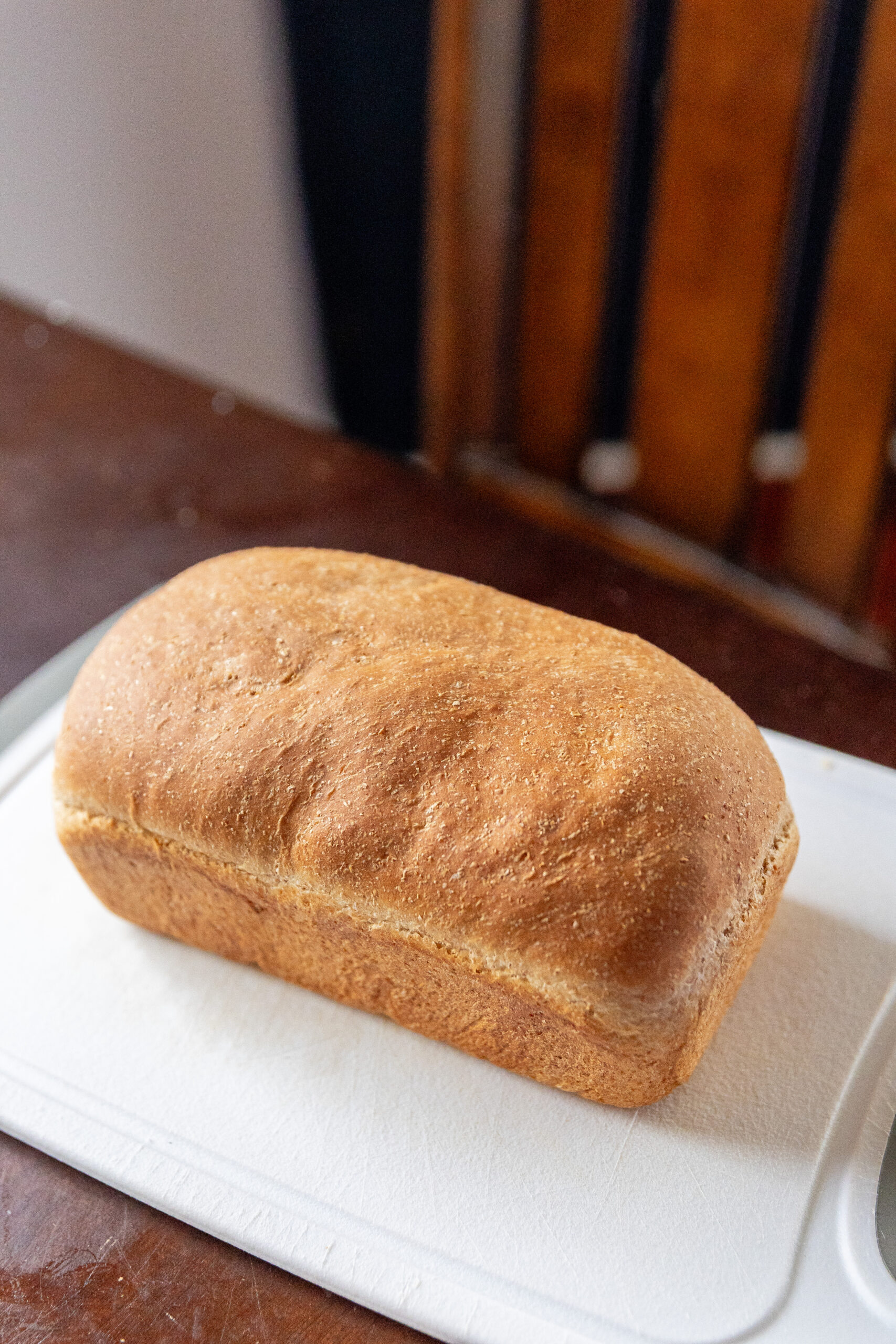 Homemade Wheat Bread Recipe from Scratch - Saving Talents