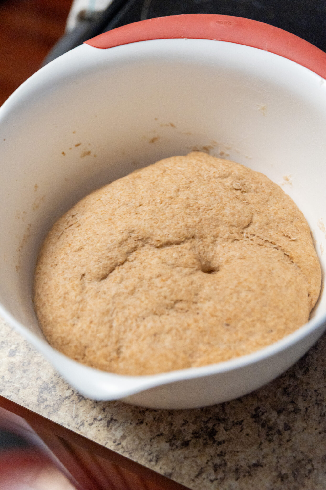 Homemade Wheat Bread Recipe from Scratch - Saving Talents
