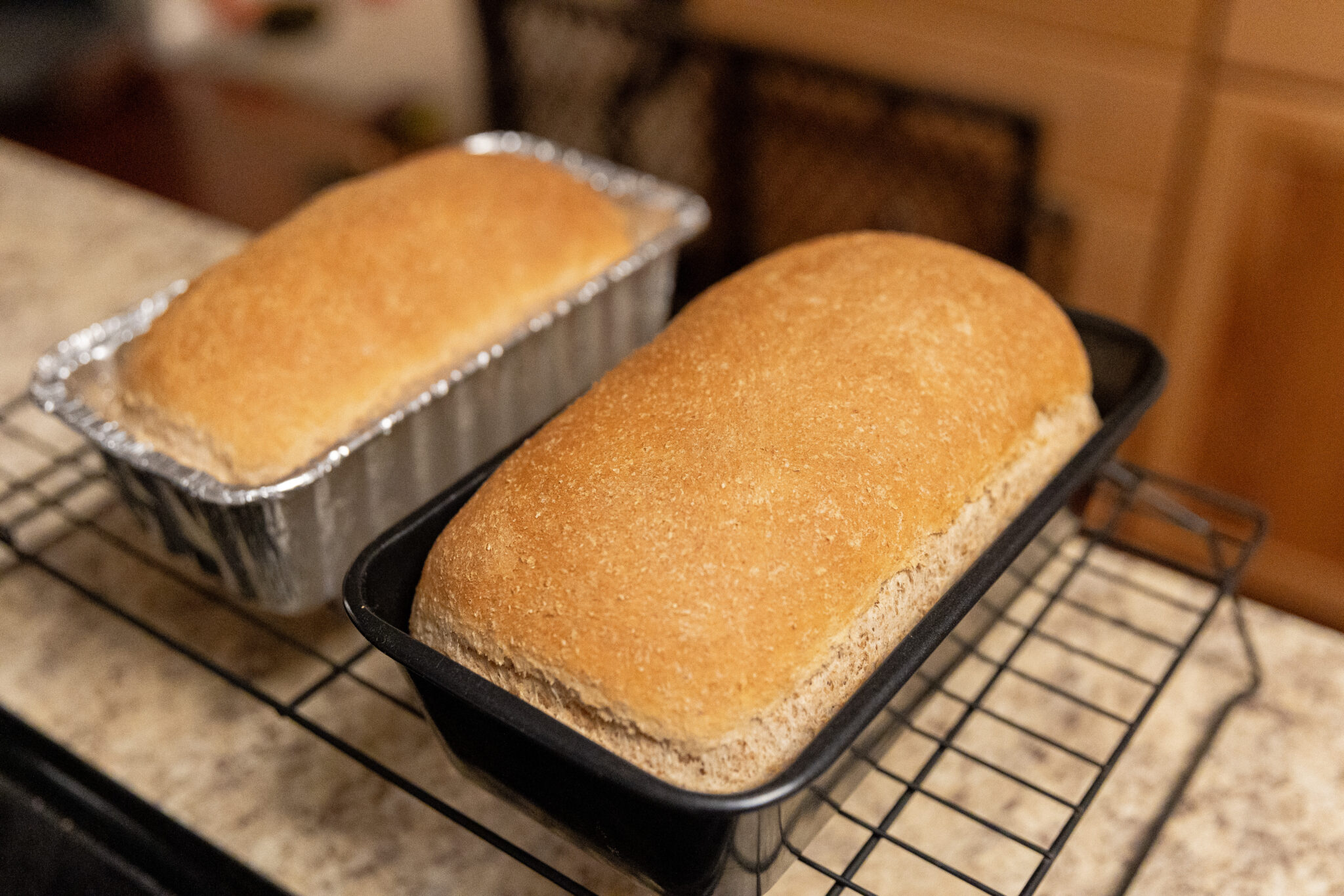 Homemade Wheat Bread Recipe from Scratch - Saving Talents