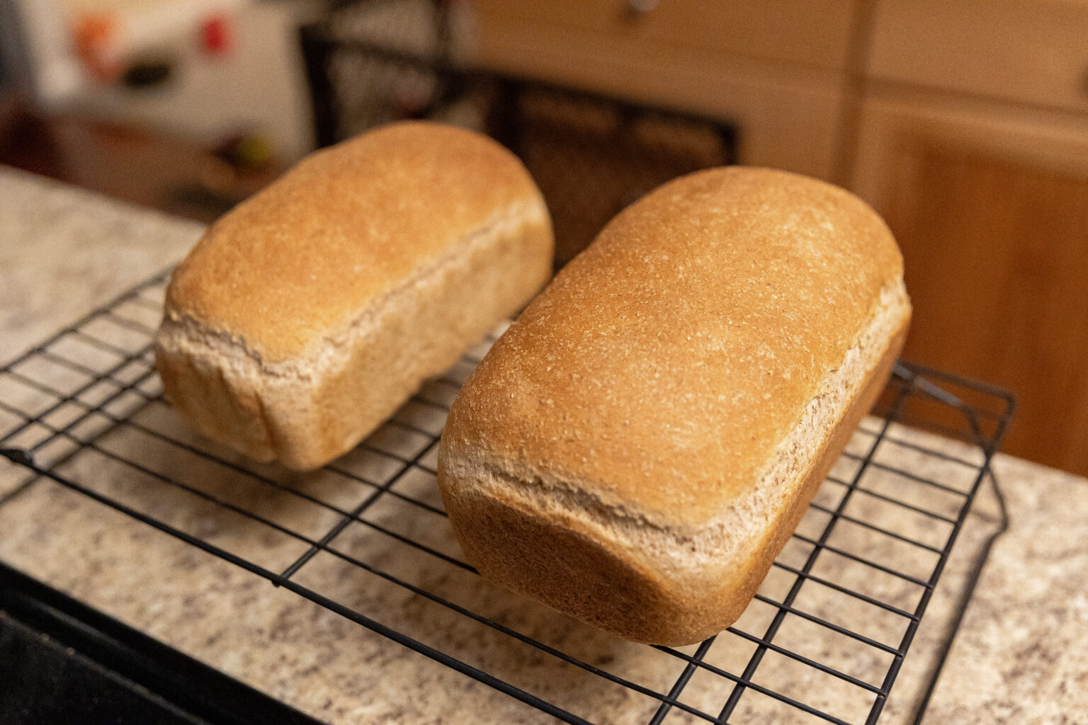 Homemade Wheat Bread Recipe from Scratch - Saving Talents