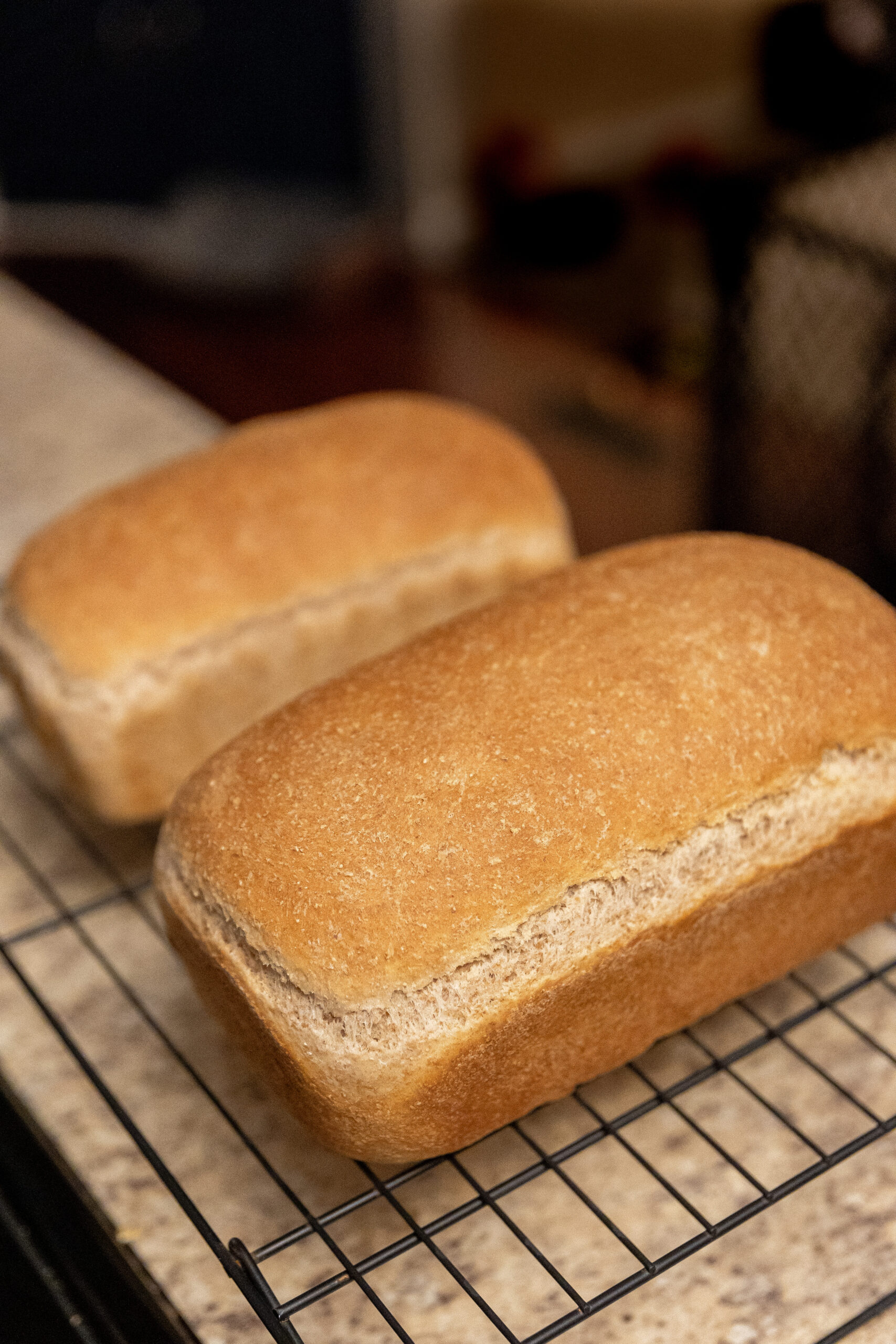 Homemade Wheat Bread Recipe from Scratch - Saving Talents