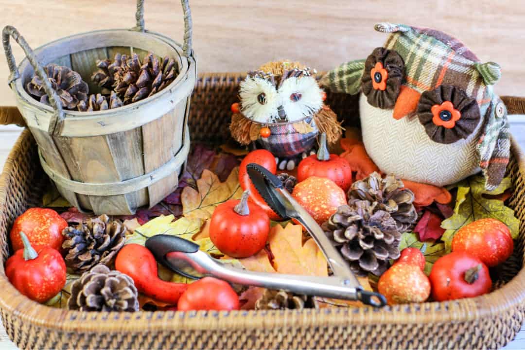 20 Pinecone Crafts for Kids to Make This Fall - Saving Talents