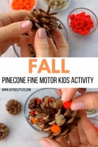 20 Pinecone Crafts for Kids to Make This Fall - Saving Talents