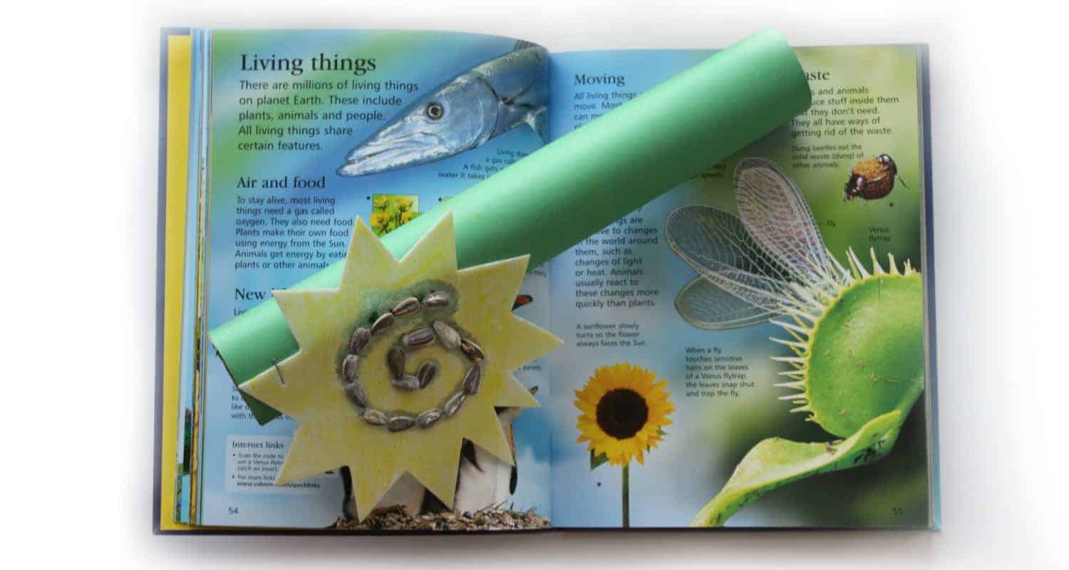 15 DIY Summer Crafts That Kids Will Love This Year - Saving Talents